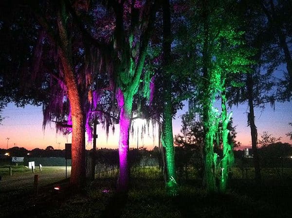 Tips for Choosing Landscape Tree Lighting - RC Lighting