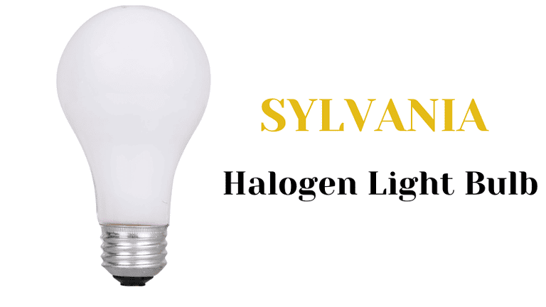 The 6 Best Light Bulbs For the Modern Office 2026 - RC Lighting